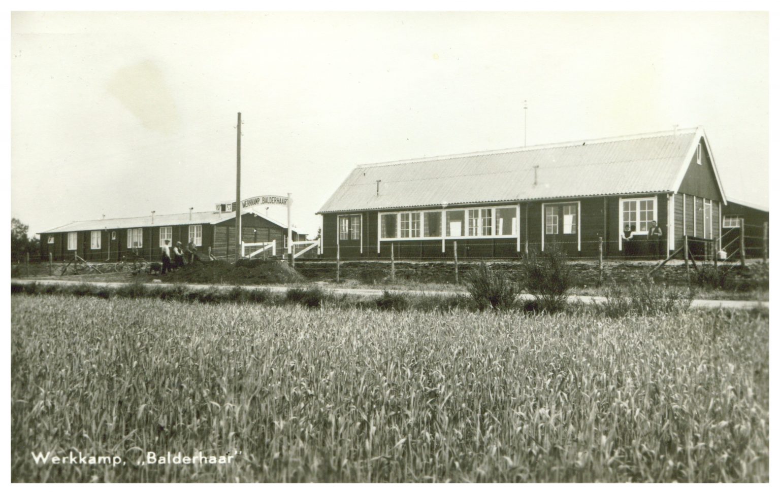 Werkkamp Balderhaar – Joods Groningen